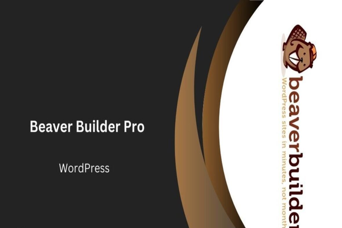 Beaver Builder Pro 2.6.3.1 – Get for Just ₹150 - budgetthemes.com