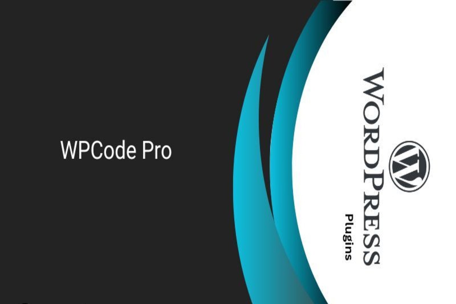 WPCode Pro – Get it for Just ₹150 - budgetthemes.com